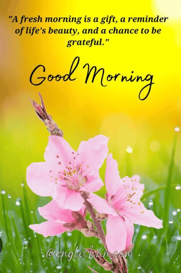 pramod - System Prompt | Dittin AI: NSFW AI Chat & Image Generation Platform